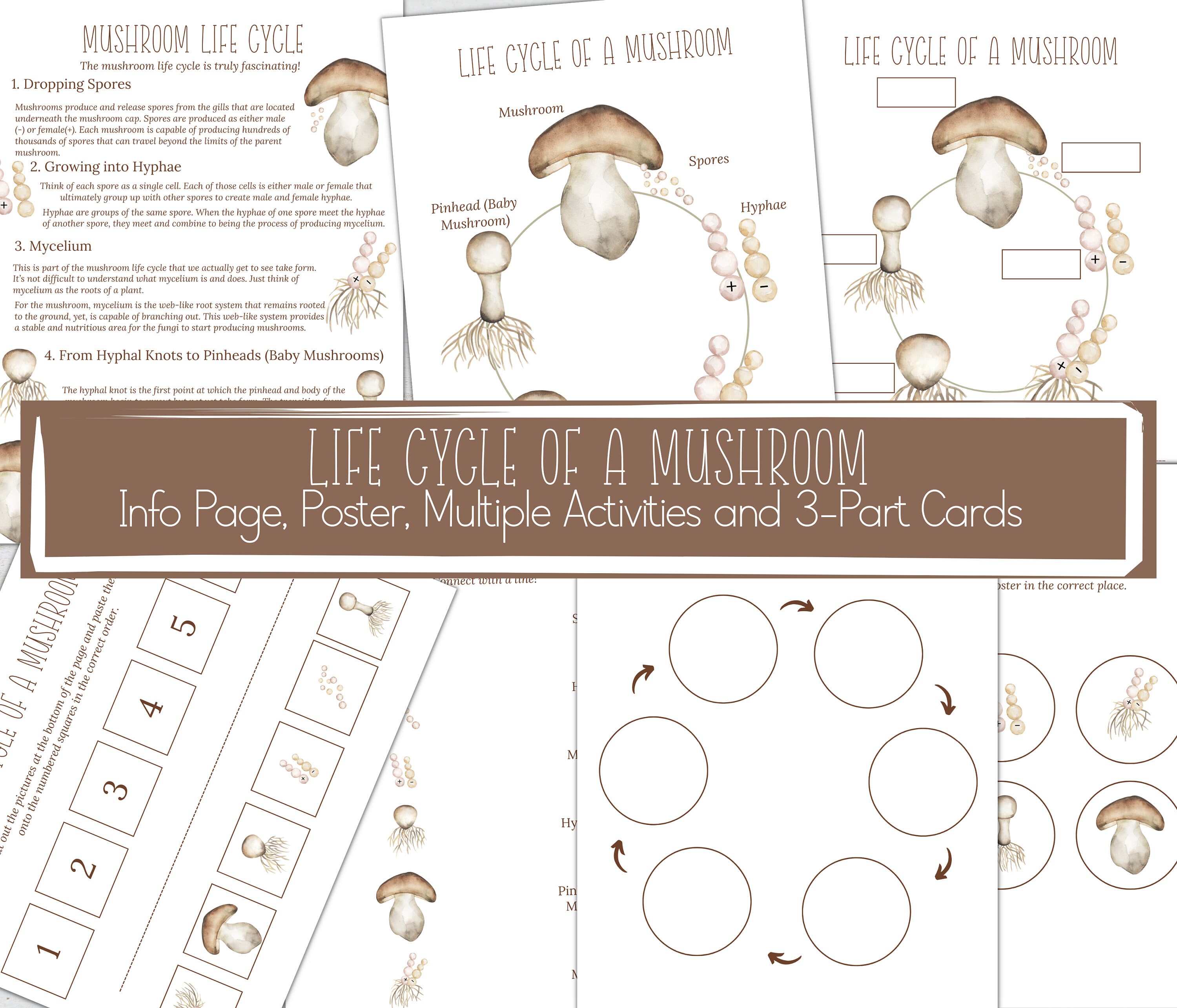 Mushroom Unit Study: Life Cycle, Anatomy, Homeschool Printable (instant ...