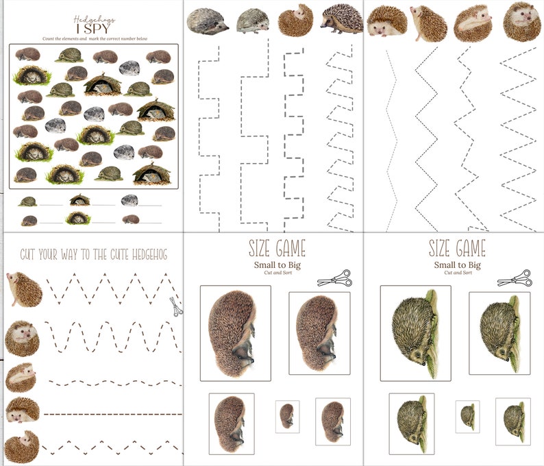 Hedgehog Unit Study: Homeschool Science Printable (instant Download) - Etsy