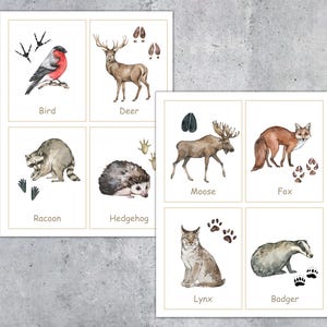 WOODLAND ANIMALS Tracks, Flashcards and Matching Activities, Instant ...