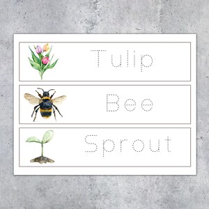 Spring Preschool Printable Word Tracing Strips. Kindergarten ...