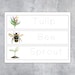 Spring Preschool Printable Word Tracing Strips. Kindergarten ...