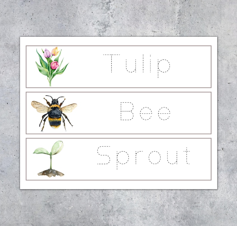 Spring Preschool Printable Word Tracing Strips. Kindergarten ...