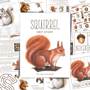 FOREST ANIMALS BUNDLE, Red Fox Unit, Squirrel Unit, Hedgehog Unit, Wolf ...