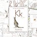Letter K Kangaroo Learning Activities: Alphabet Printable (instant ...