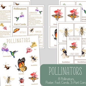 GARDEN INSECTS BUNDLE, Garden Pests Unit, Pollinators Unit, Earthworm ...