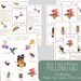 GARDEN INSECTS BUNDLE Garden Pests Unit Pollinators Unit - Etsy