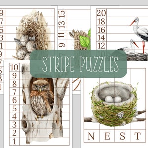 BIRD NESTS Unit Study, Nature Study, Science, Handwriting, Homeschool ...