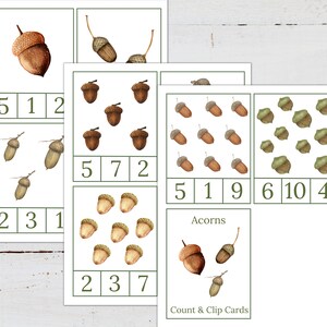 OAK Unit Study, Life Cycle, Anatomy, Nature Study, Science, Handwriting ...