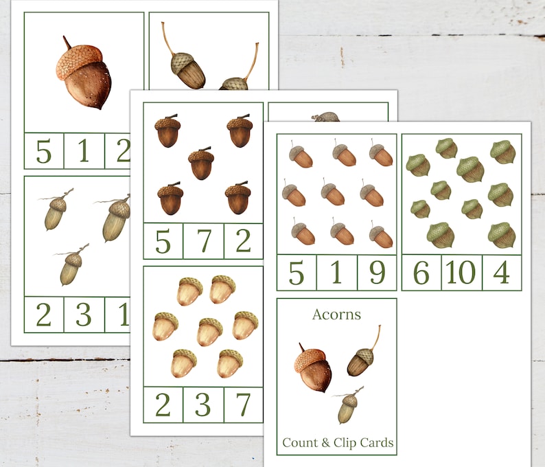 OAK Unit Study, Life Cycle, Anatomy, Nature Study, Science, Handwriting ...