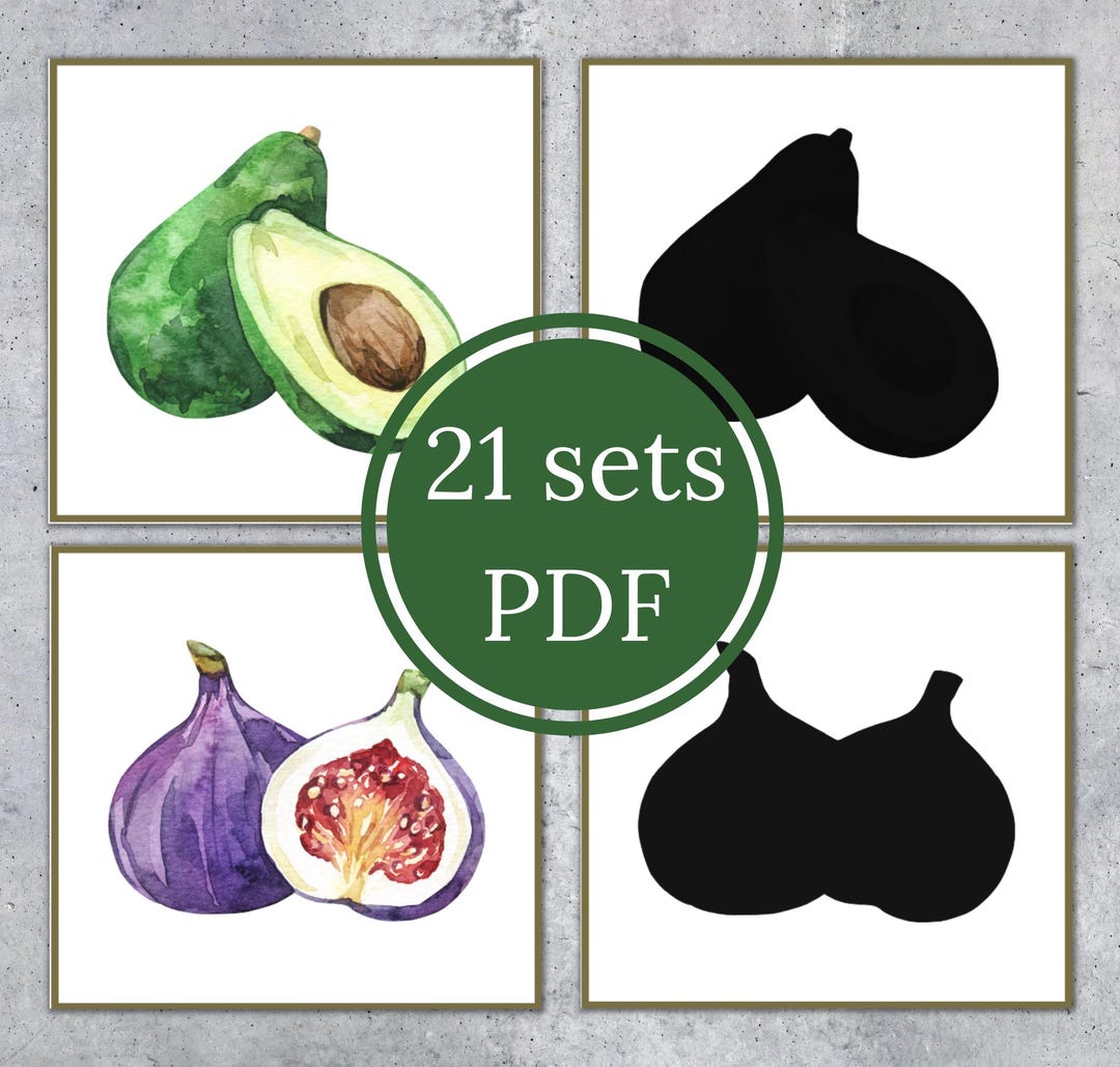 FRUIT Shadow Matching Cards. Toddler Montessori Printable. Instant ...