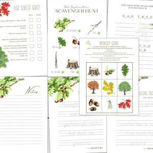 OAK Unit Study, Life Cycle, Anatomy, Nature Study, Science, Handwriting ...