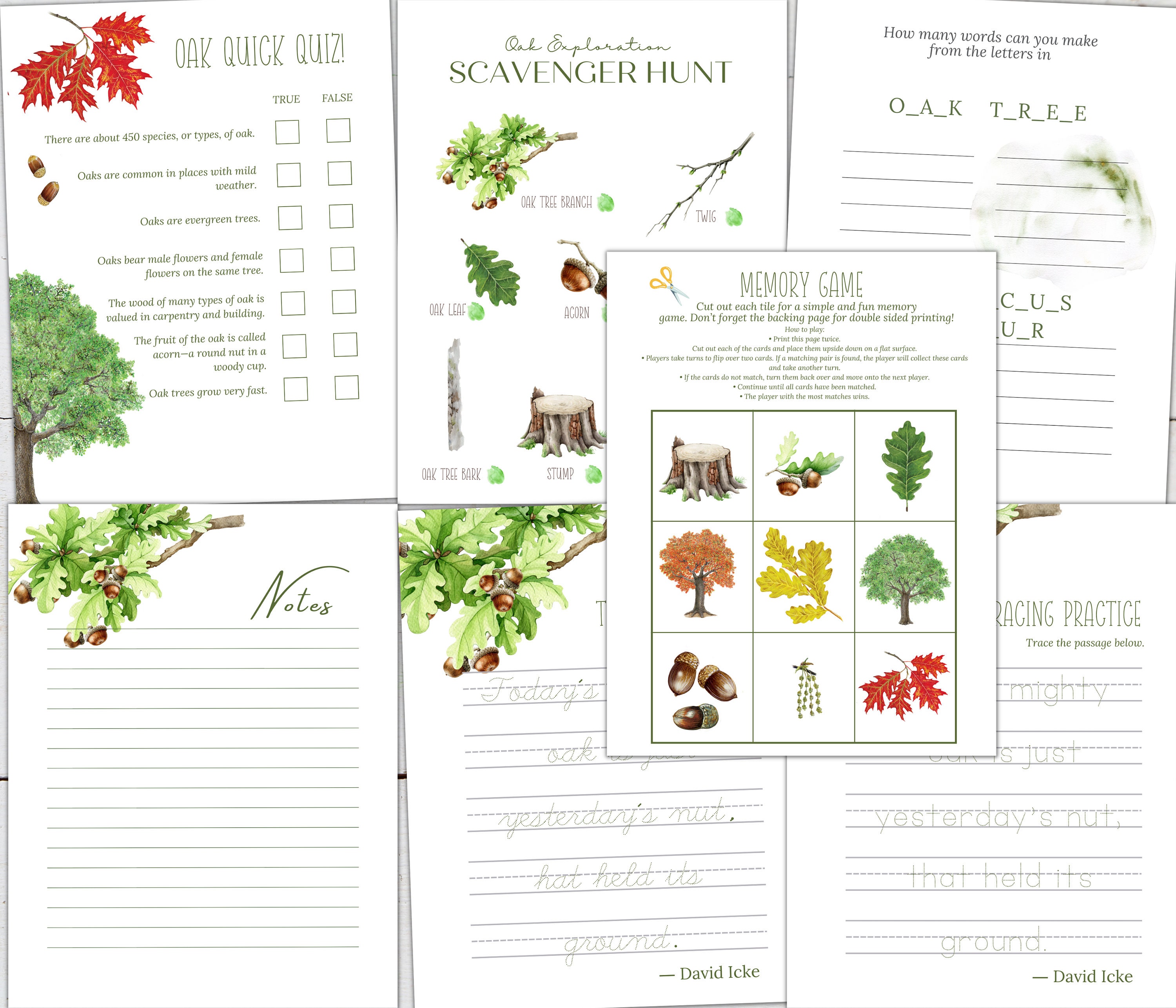 OAK Unit Study, Life Cycle, Anatomy, Nature Study, Science, Handwriting ...