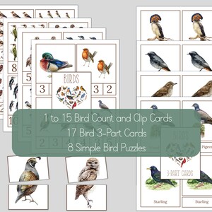 BIRD Unit Study, Life Cycle, Anatomy, Nature Study, Science ...