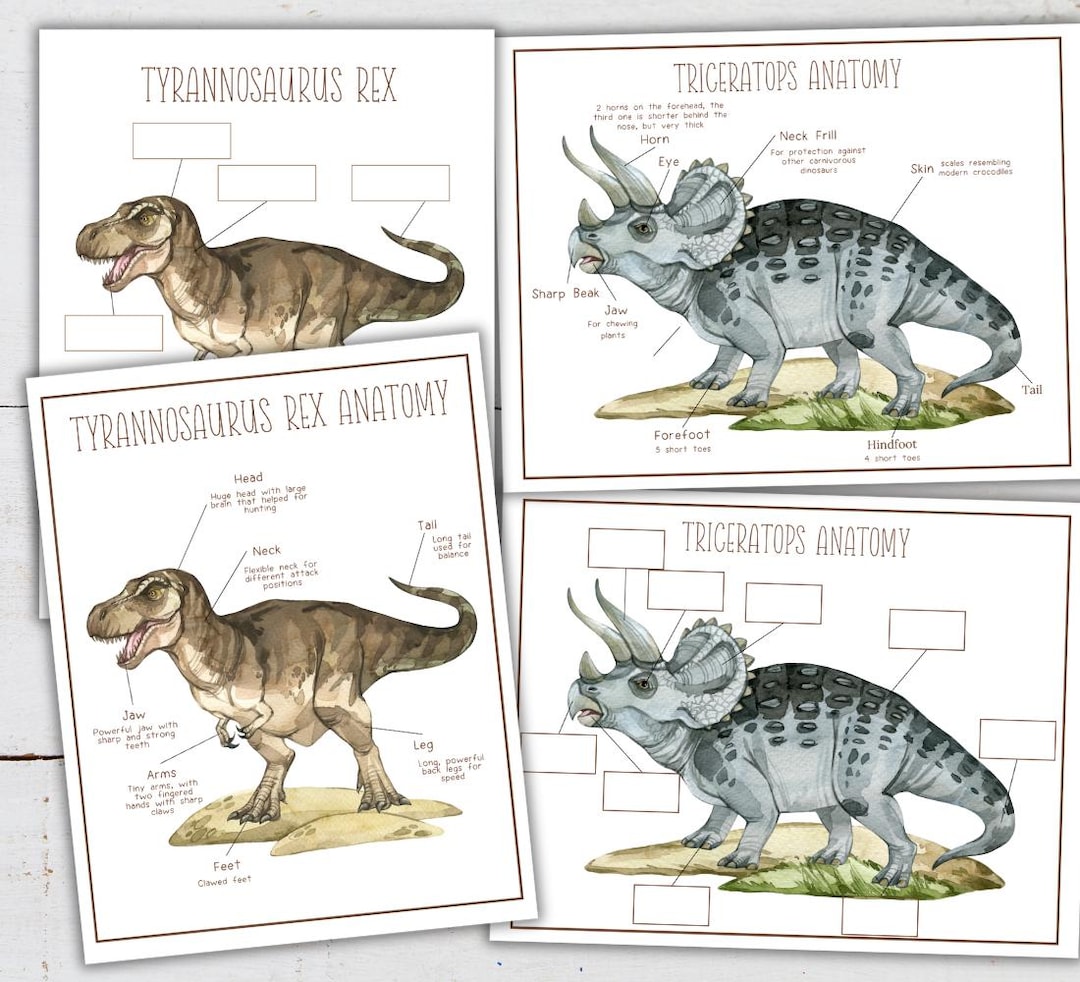 DINOSAUR Anatomy, Posters and Labeling Activities, INSTANT DOANLOAD - Etsy