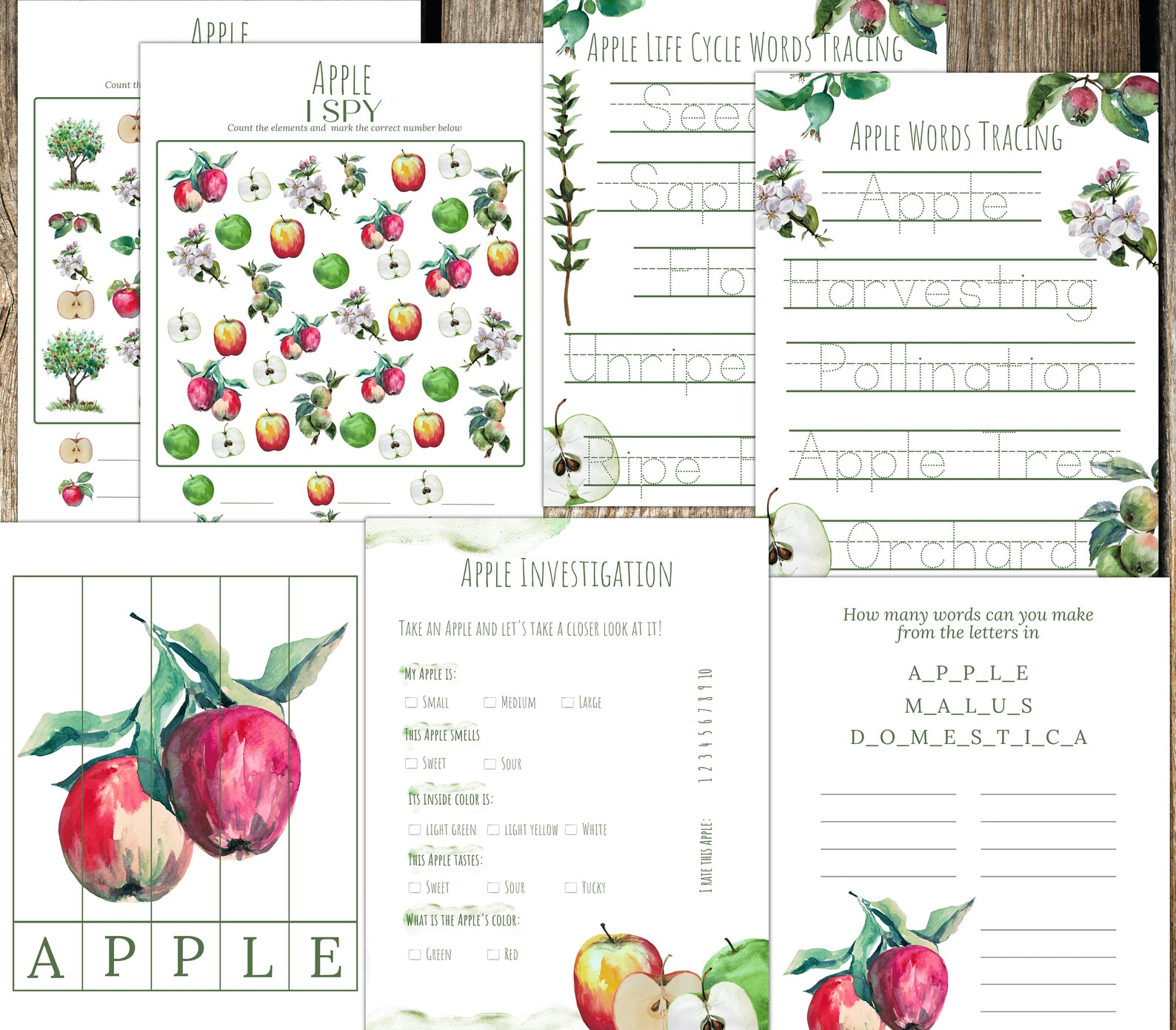 APPLE Unit Study Life Cycle Anatomy Nature Study Science - Etsy