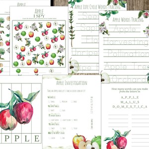 APPLE Unit Study Life Cycle Anatomy Nature Study Science - Etsy