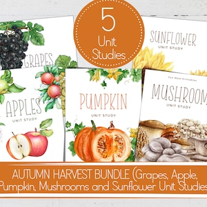 FunMomPrintables - Etsy