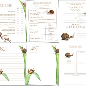 SNAIL Unit Study, Life Cycle, Anatomy, Nature Study, Science ...