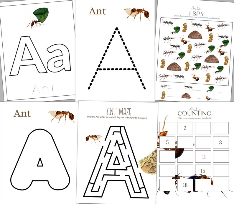 Ant Colony Unit Study: Homeschool Science Printable (instant Download ...