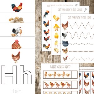 Chicken Unit Study , Life Cycle, Anatomy, DIGITAL DOWNLOAD - Etsy