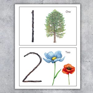 NATURE Counting Flashcards, 1 to 10 Counting, Toddler Preschool ...