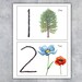 NATURE Counting Flashcards, 1 to 10 Counting, Toddler Preschool ...