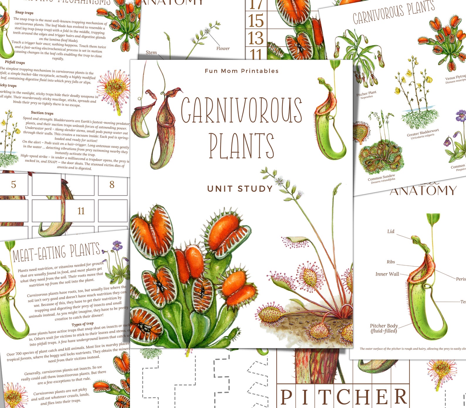 CARNIVOROUS PLANTS Unit Study, Anatomy, Nature Study, Science ...