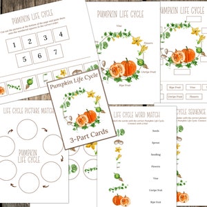 PUMPKIN Unit Study Life Cycle Anatomy Nature Study - Etsy