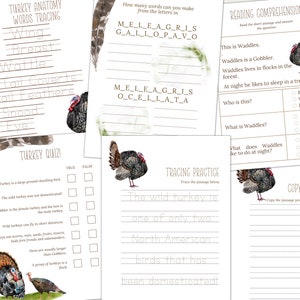 TURKEY Unit Study, Life Cycle, Anatomy, Montessori 3 Part Cards ...