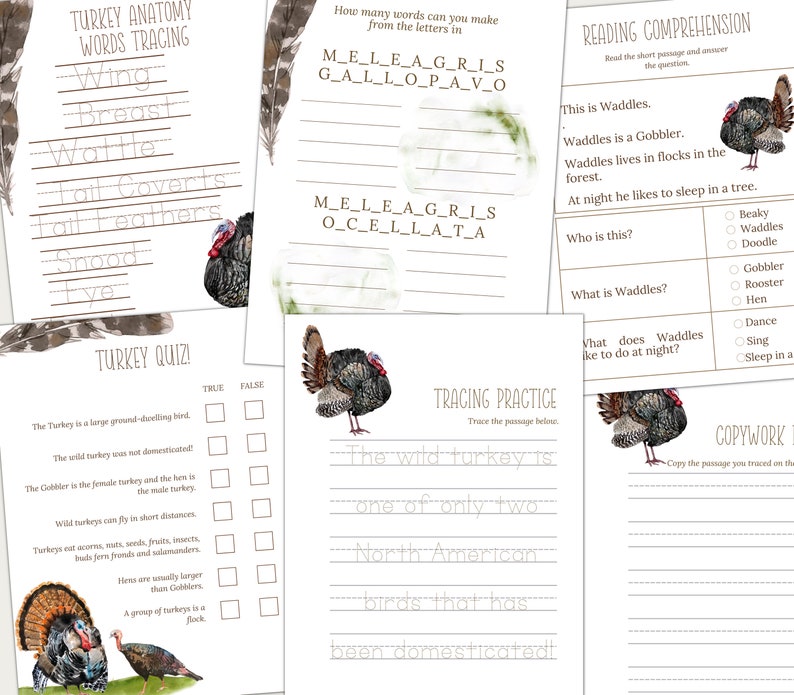 TURKEY Unit Study Life Cycle Anatomy Montessori 3 Part - Etsy