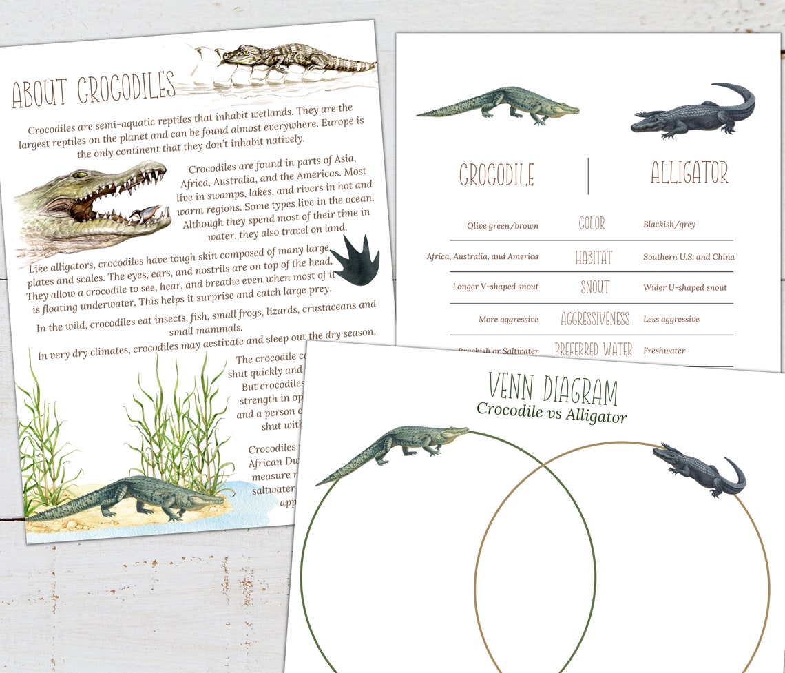 Crocodile Unit Study: Homeschool Science Printable (instant Download ...