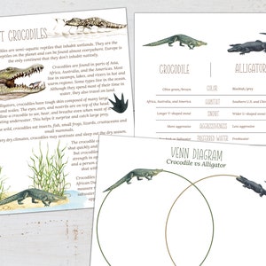 CROCODILE Unit Study, Life Cycle, Anatomy, Nature Study, Science ...