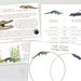 CROCODILE Unit Study, Life Cycle, Anatomy, Nature Study, Science ...