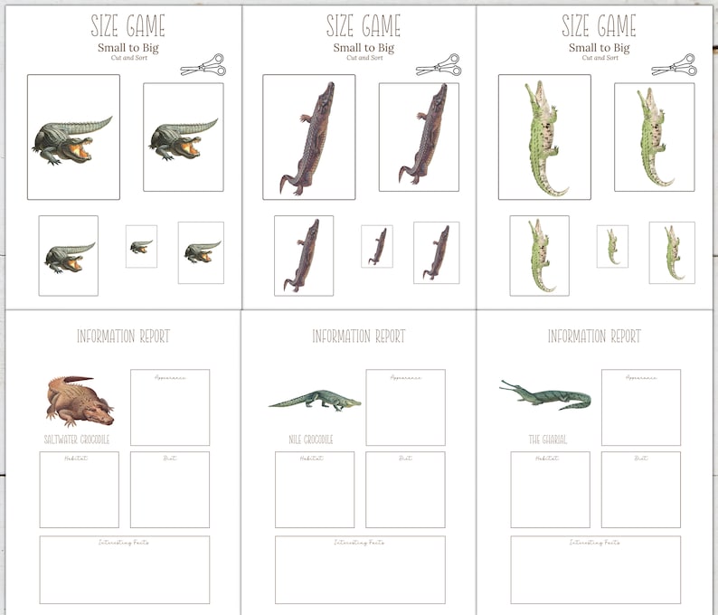 Crocodile Unit Study: Homeschool Science Printable (instant Download ...