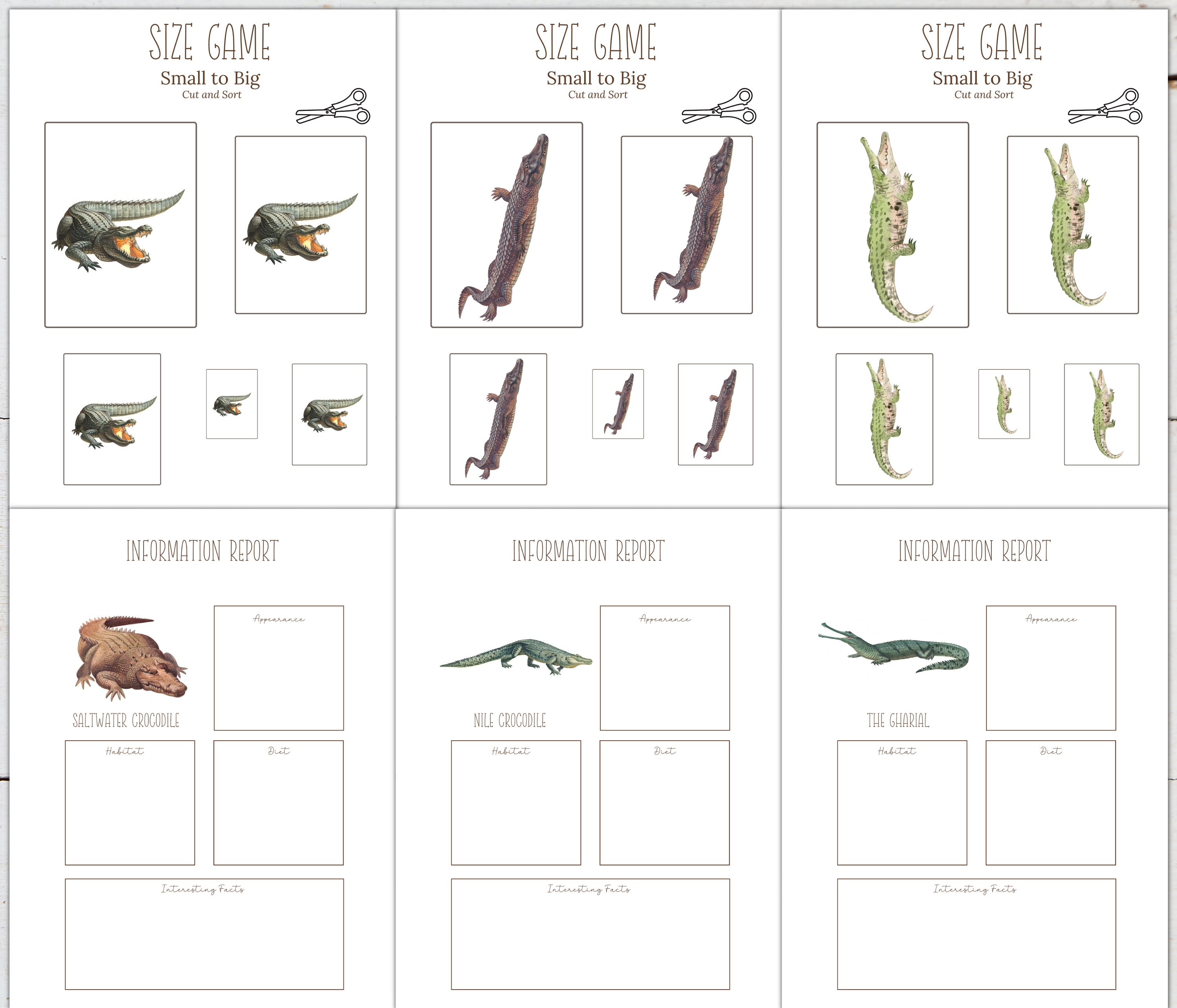Crocodile Unit Study: Homeschool Science Printable (instant Download ...
