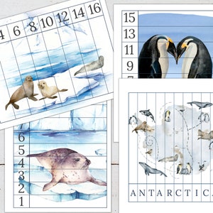 ANTARCTIC ANIMALS Unit Study, Life Cycle, Anatomy, Nature Study ...