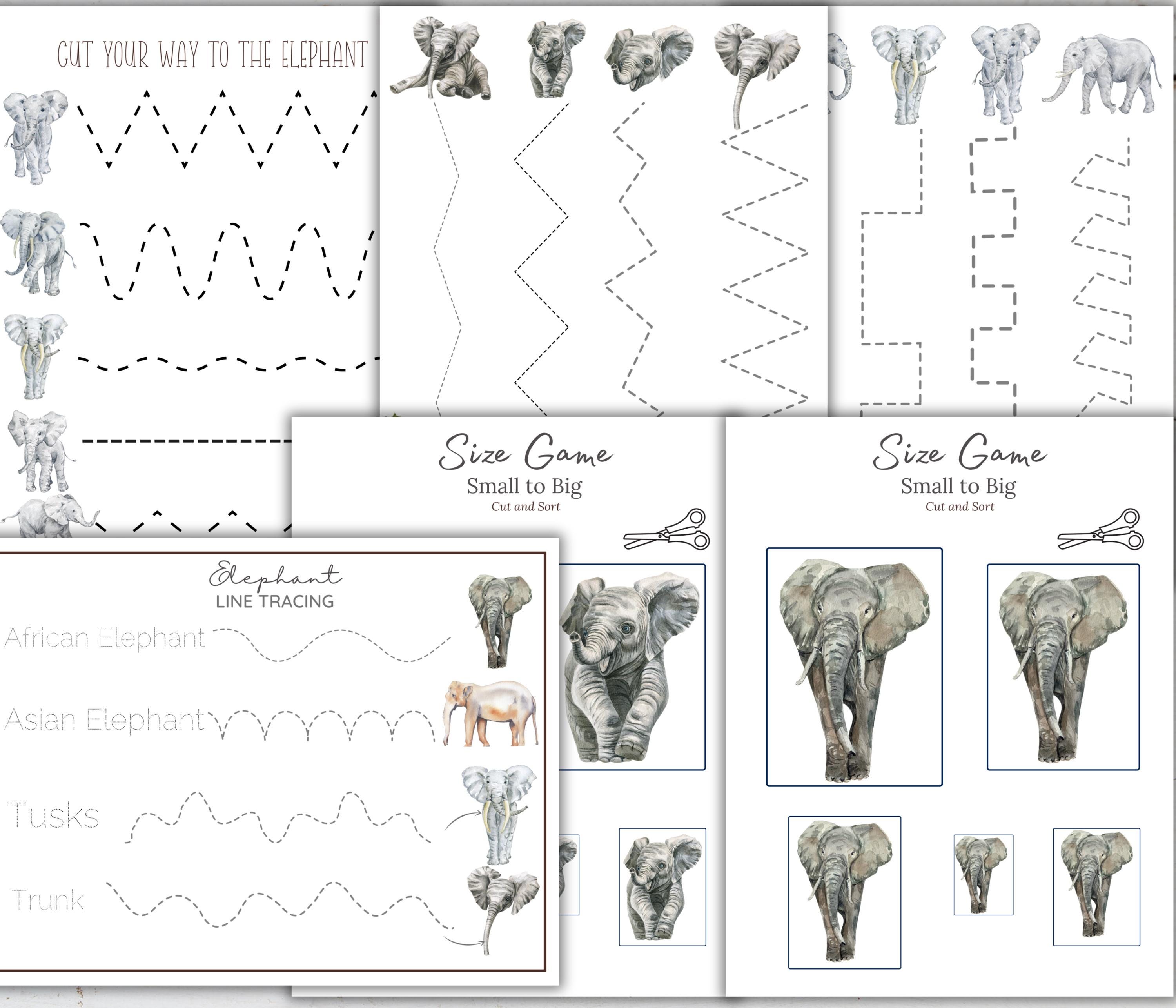 ELEPHANT Unit Study, Nature Study, Science, Handwriting, Homeschool ...