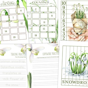 SNOWDROP Unit Study, Life Cycle, Anatomy, Nature Study, Science ...