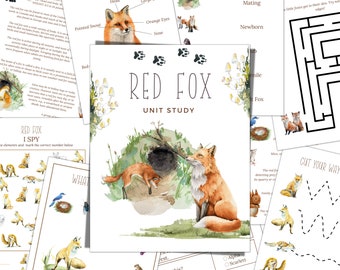 Red Fox Life Cycle - Etsy