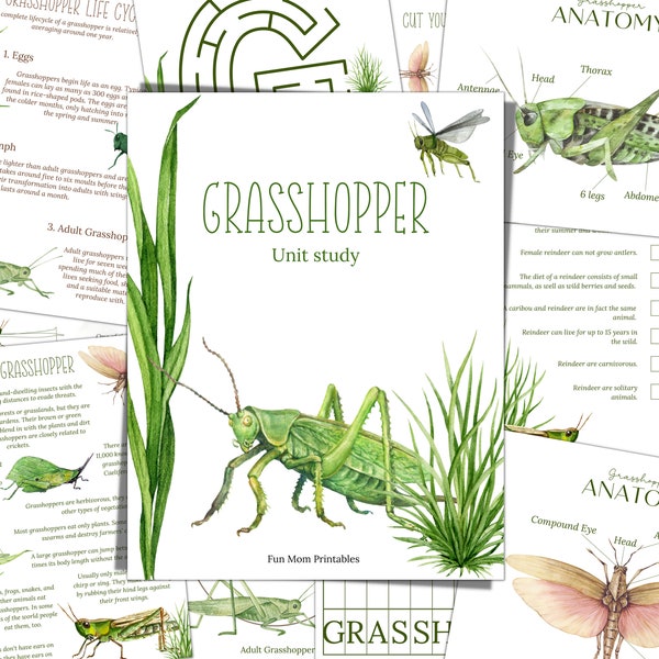 Grasshopper - Etsy