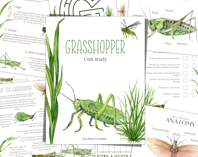 Parts of a Grasshopper Nomenclature Book - Montessori Zoology (digital ...