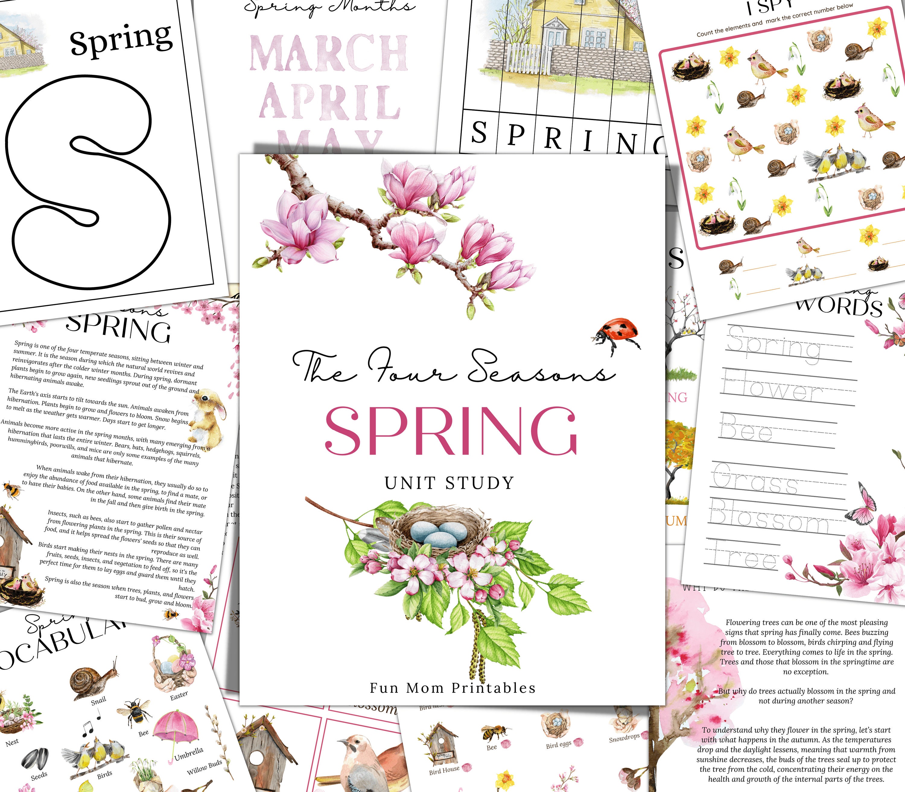 SEASONS UNITS BUNDLE, Seasons Activities, Science, Handwriting ...
