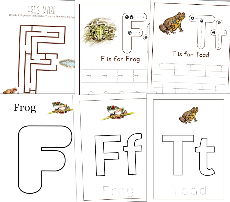 FROG Unit Study, Life Cycle, Anatomy, Nature Study, Science ...