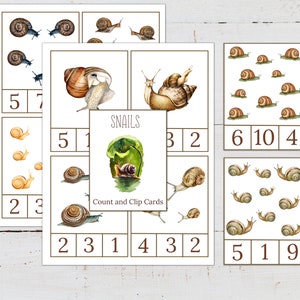 Snail Unit Study: Life Cycle, Anatomy, Homeschool Printable (instant ...