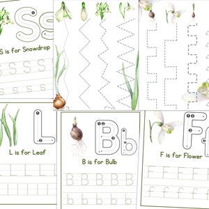 SNOWDROP Unit Study, Life Cycle, Anatomy, Nature Study, Science ...