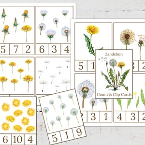 DANDELION Unit Study, Life Cycle, Anatomy, Nature Study, Science ...