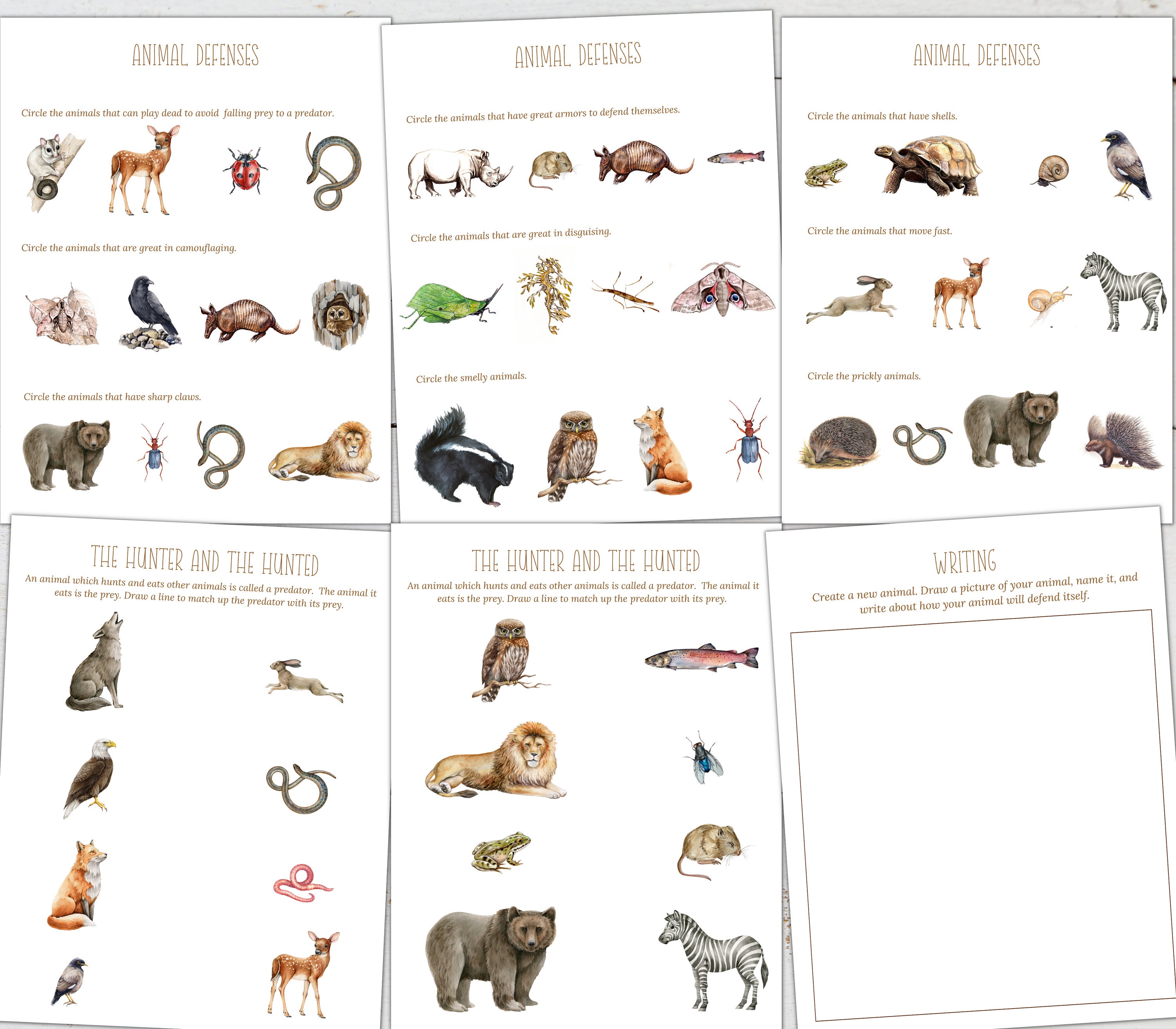 ANIMAL DEFENSES Unit Study, Anatomy, Nature Study, Science, Handwriting ...