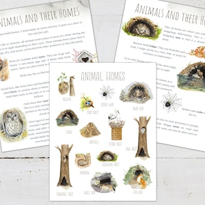 ANIMAL HOMES Unit Study, Nature Study, Science, Handwriting, Homeschool ...