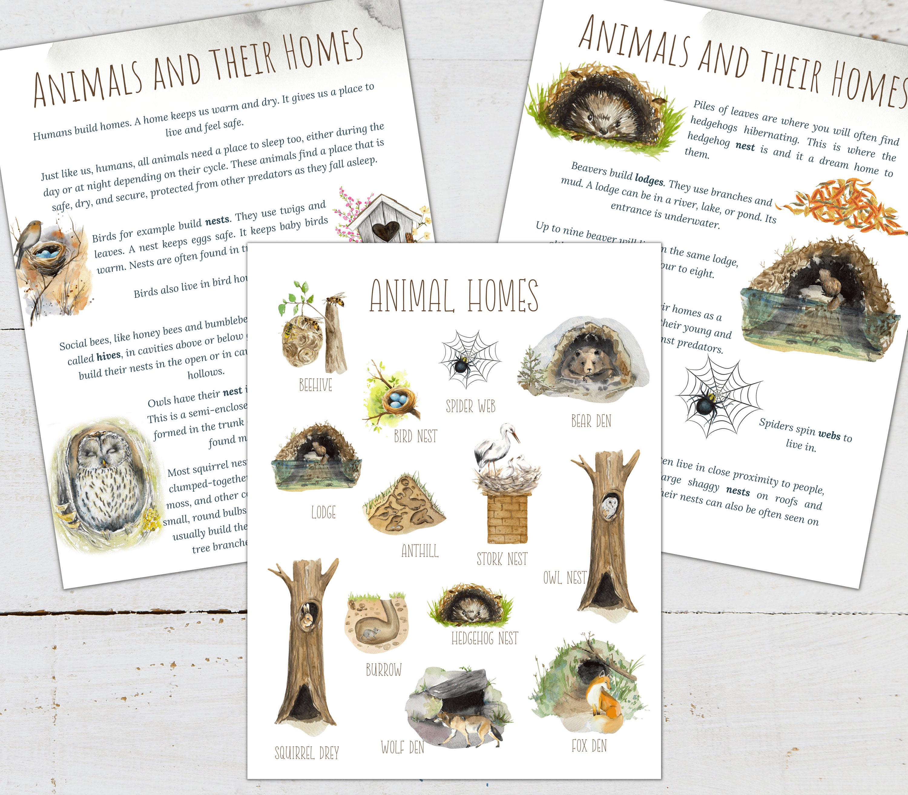 ANIMAL HOMES Unit Study, Nature Study, Science, Handwriting, Homeschool ...