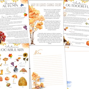 SEASONS UNITS BUNDLE, Seasons Activities, Science, Handwriting ...